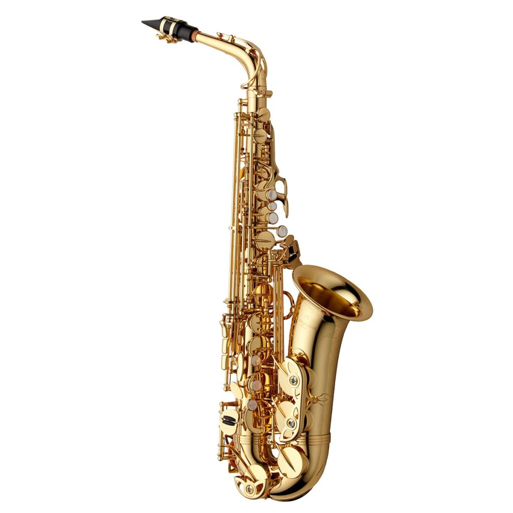 Home - The Music Cellar - Instruments, Accessories, Repairs