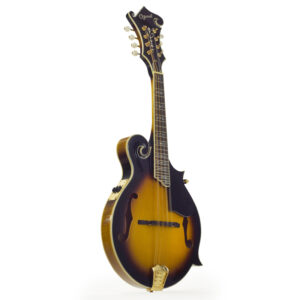 Home - The Music Cellar - Instruments, Accessories, Repairs