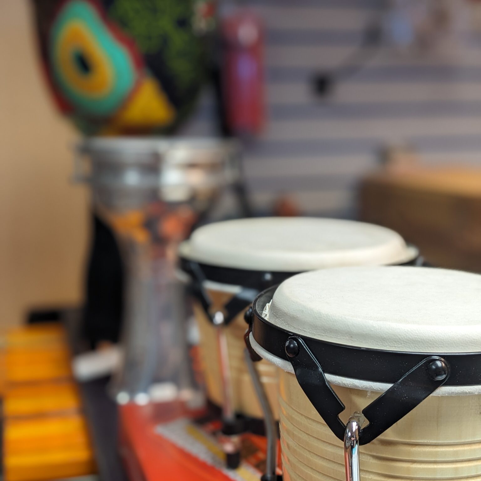 Shop - The Music Cellar - Instruments, Accessories, Repairs
