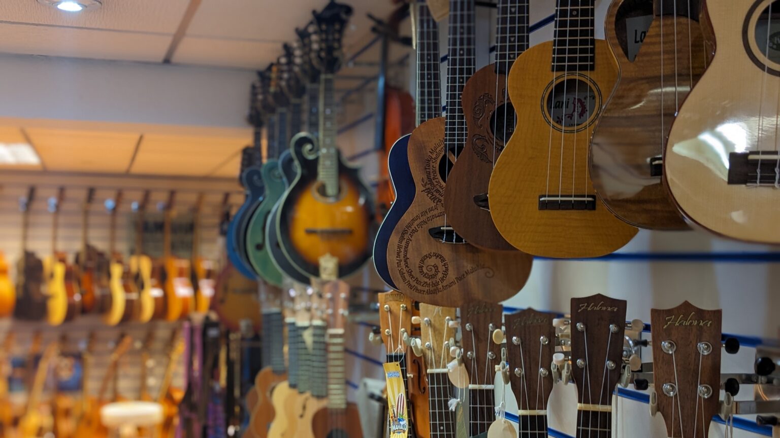 Shop - The Music Cellar - Instruments, Accessories, Repairs